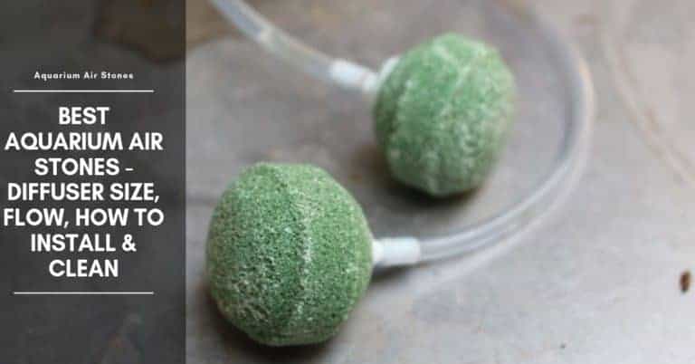 Aquarium Air Stone Setup, Best Air Stone, and How to Clean