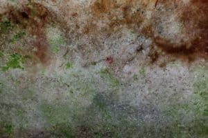 Learn How to Use a Deep Sand Bed in Your Tank - The Aquarium Adviser