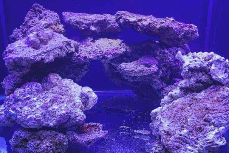 Types of Live Rock for Saltwater Aquarium - The Aquarium Adviser