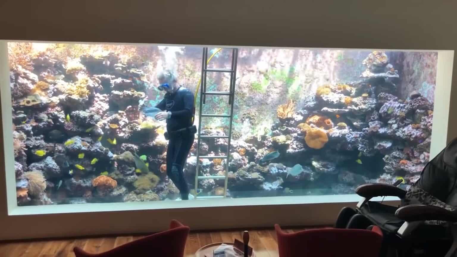 11 Most Amazing Aquarium in The World - The Aquarium Adviser