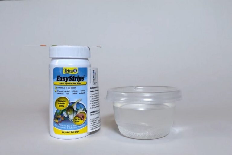 GH in Aquarium: How to Raise GH and KH in My Tank?