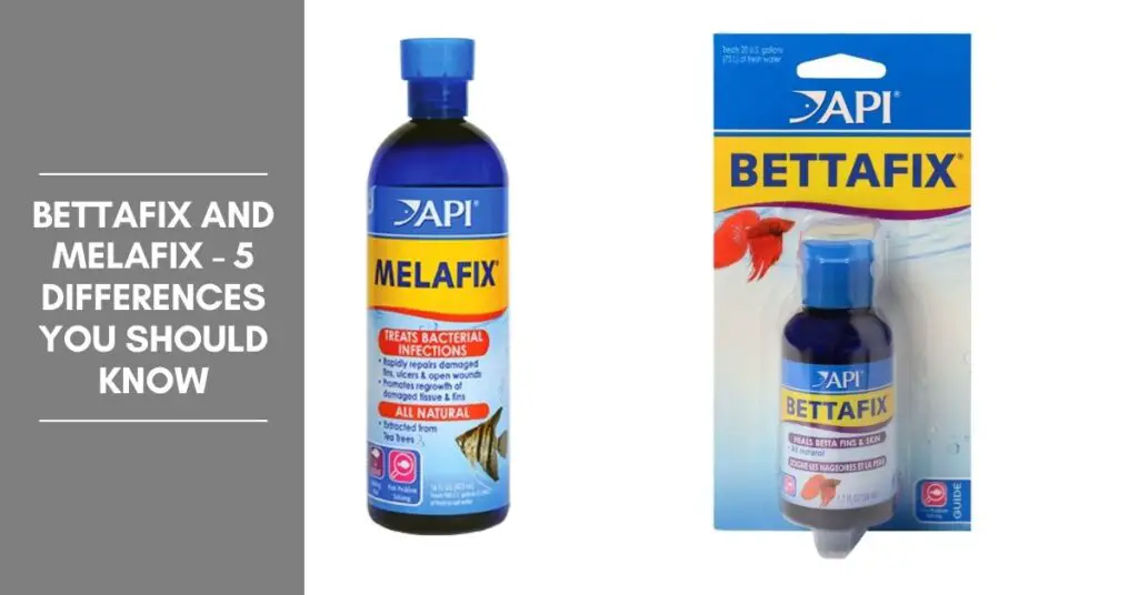 Bettafix and Melafix - 5 Differences You Should Know